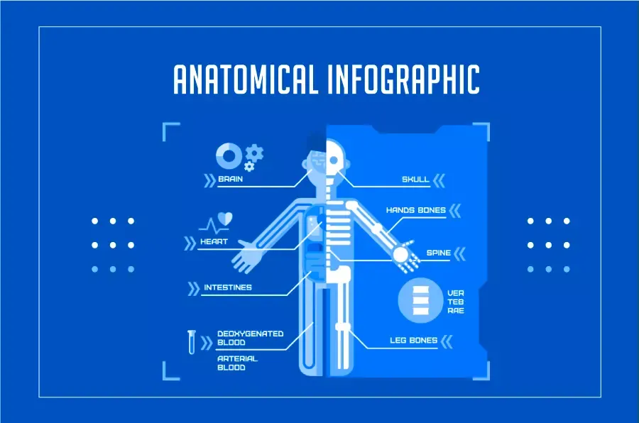 How to Create an Infographic | What is an Infographic