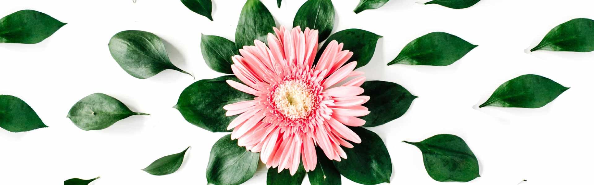 Design Composition: Eight Things Designer Should Know