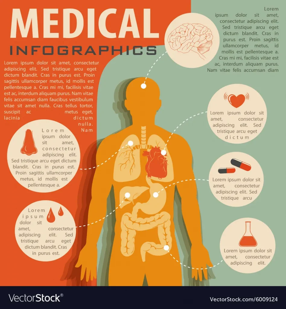 Infographics Design Cheat Sheet | Infographic Layouts That Works