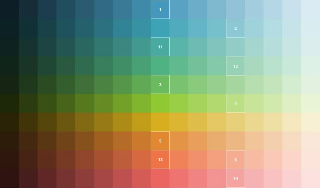 Guide on How to Fill Your Color Palette | Color Palette Guide