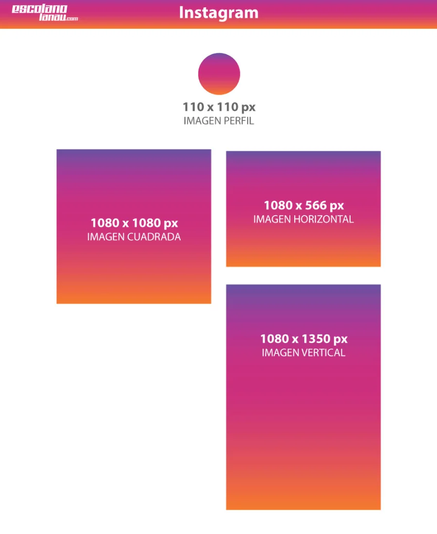 Guide To Social Media Image Sizes | Social Media Image Sizes 2025