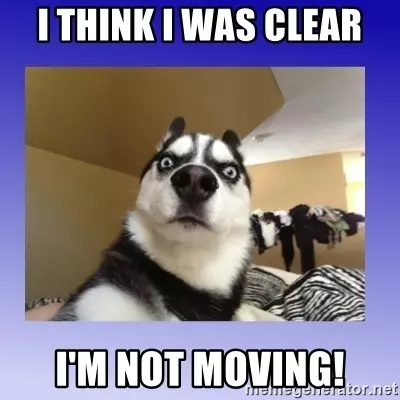 Moving Memes | Funny Moving Memes | Moving on Memes