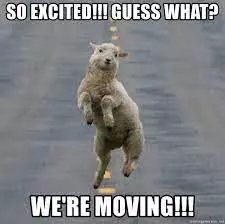 Moving Memes | Funny Moving Memes | Moving on Memes