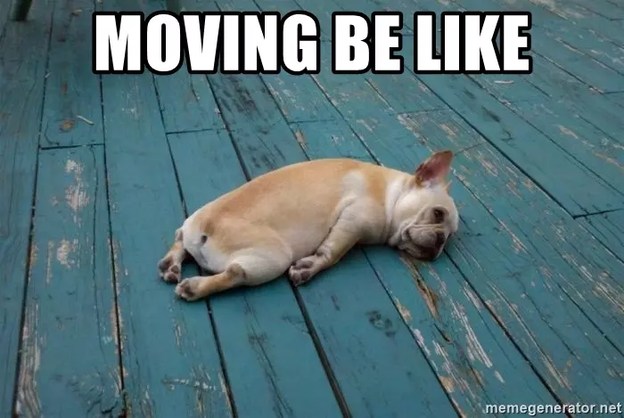 Moving Memes | Funny Moving Memes | Moving on Memes