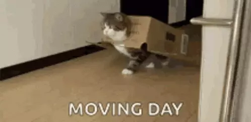 Moving Memes | Funny Moving Memes | Moving on Memes