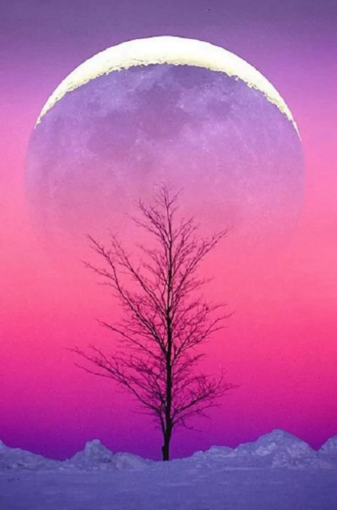 Aesthetic Phone Wallpapers | Aesthetic Wallpapers for Phone