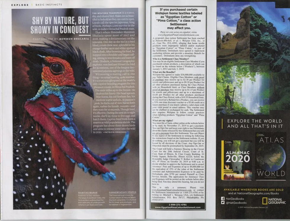 Magazine Design Ideas | Magazine Layout Design Ideas