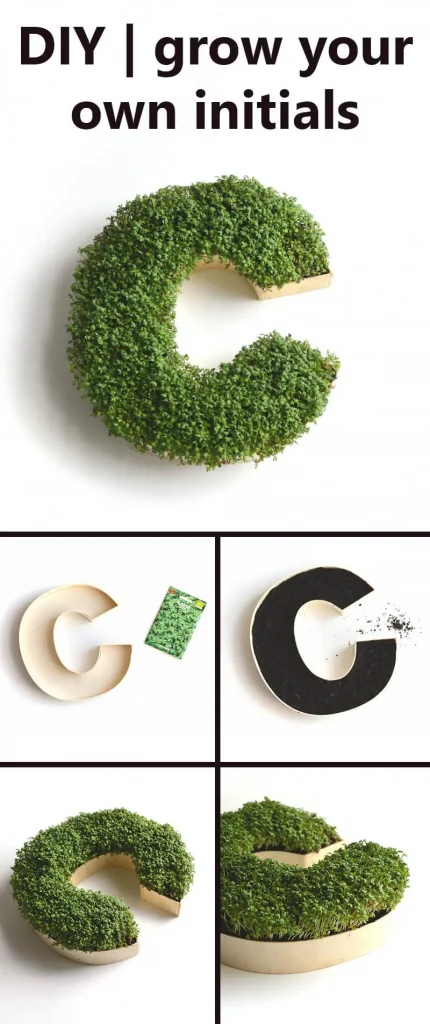 Letter Design Ideas | Alphabet Letter Design Ideas