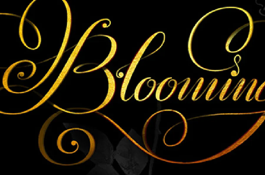 Modern Typographers | Famous Typographers | Best Typographers