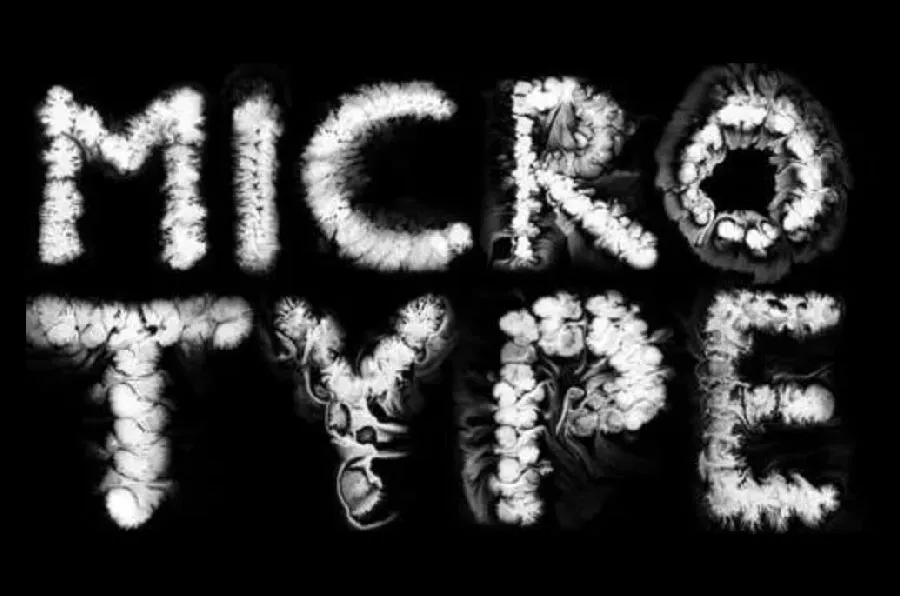 Modern Typographers | Famous Typographers | Best Typographers