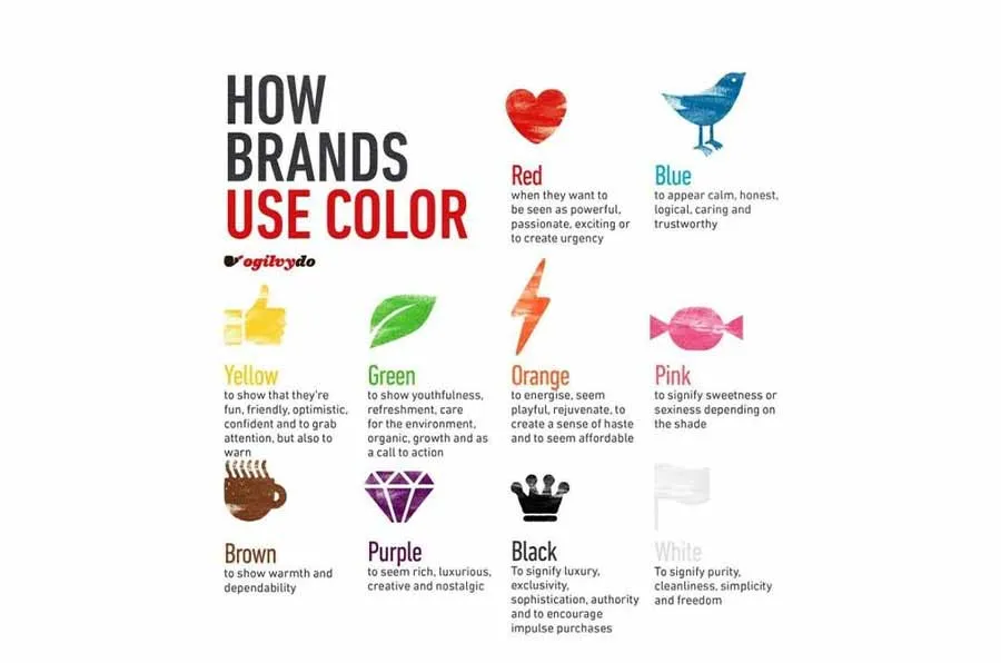 Social Media Color Palette | Color Palette for Social Media