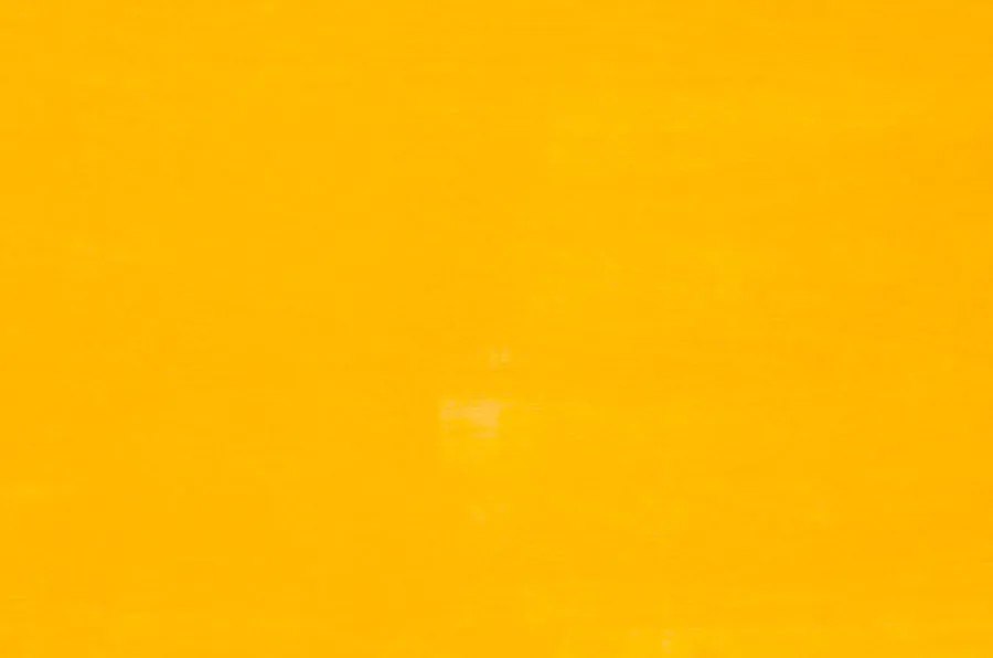 Color Trends | Business Color Trends | Color Trends 2025