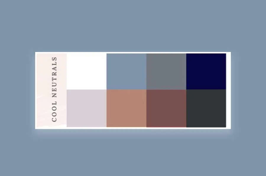 Neutral Color Palette | Neutral Color Palettes for Inspirations