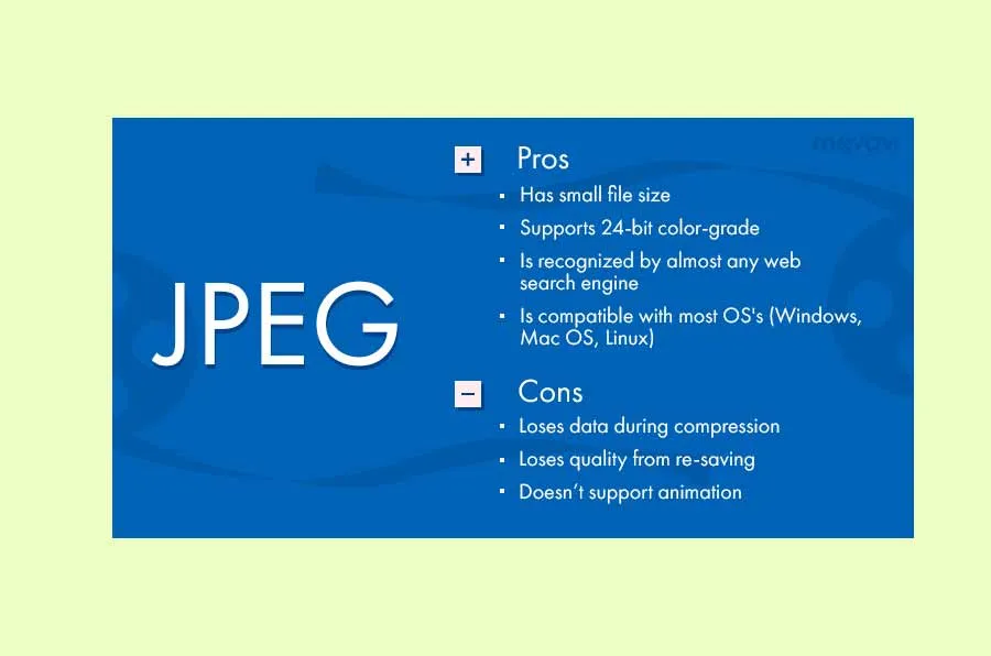 Image File Formats | Common Image File Formats | All Time Design