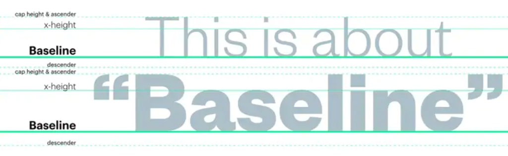 Anatomy of Typography: A Complete Guide For Beginners in 2025 - All ...