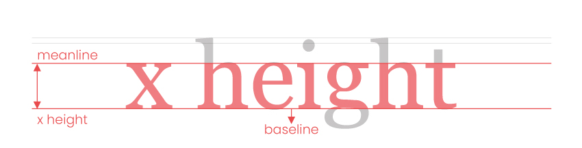 Anatomy of Typography: A Complete Guide For Beginners in 2025 - All ...