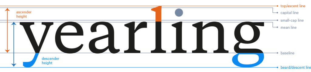 Anatomy of Typography: A Complete Guide For Beginners in 2025 - All ...