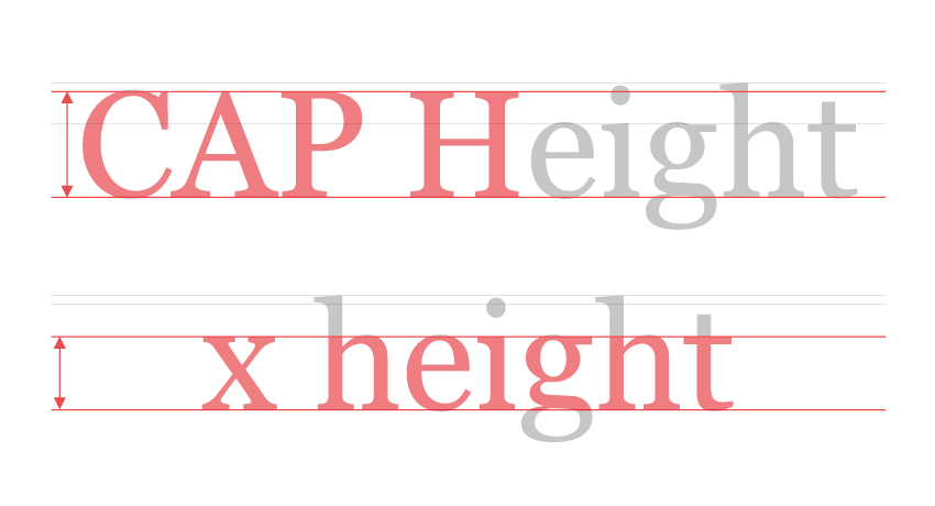 Anatomy of Typography: A Complete Guide For Beginners in 2025 - All ...