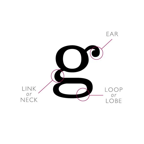 Anatomy of Typography: A Complete Guide For Beginners in 2025 - All ...